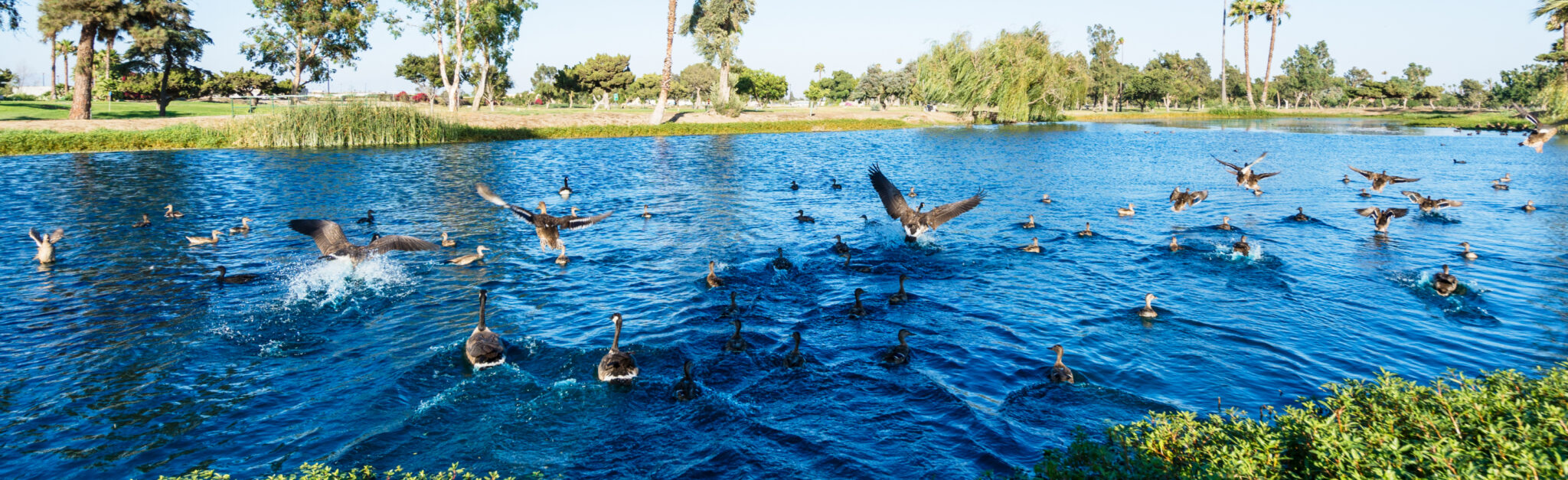 About - Whispering Lakes Golf Course